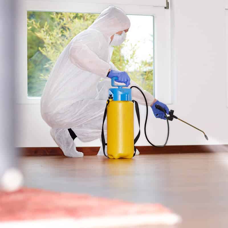 Dératisation, désinsectisation & désinfection - Services associés - Sernet